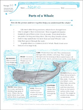 Product Detail Page