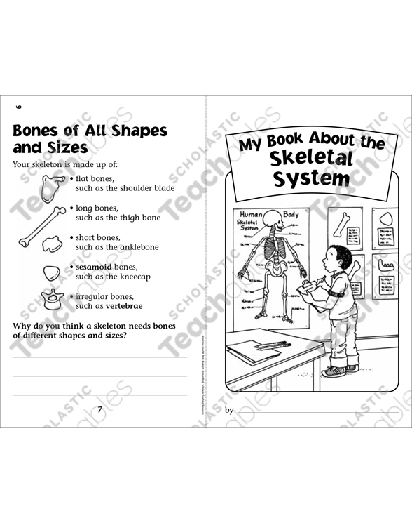 Skeletal System Worksheets For Kids Musculoskeletal System Activities