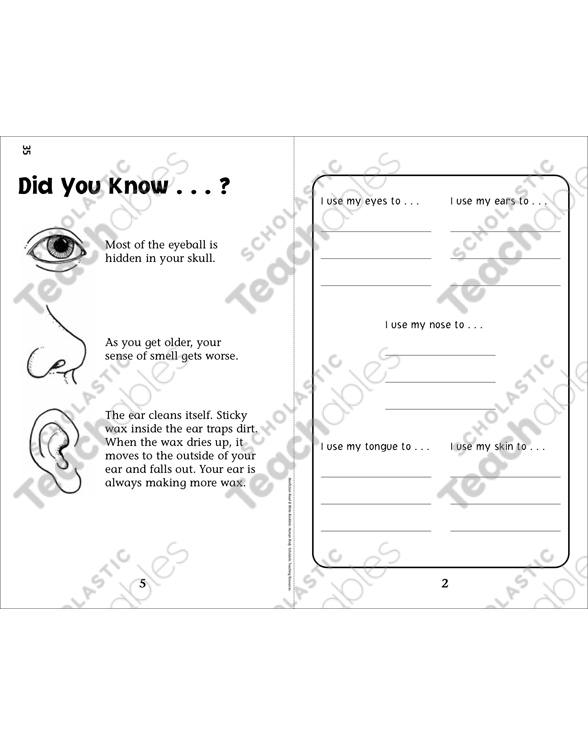 My Book About the Five Senses | Printable Mini-Books