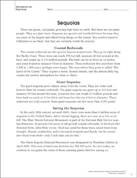 Product Detail Page