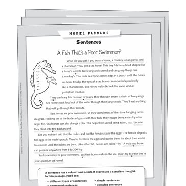 Product Detail Page